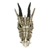Ebros Jurassic Beowulf Elder Dragon Head Skull Realistic Fossil Statue ...