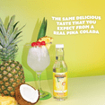 Hawaiian Shaved Ice, Slushie Syrups, 12 oz Bottle, Pina Colada Flavor ...