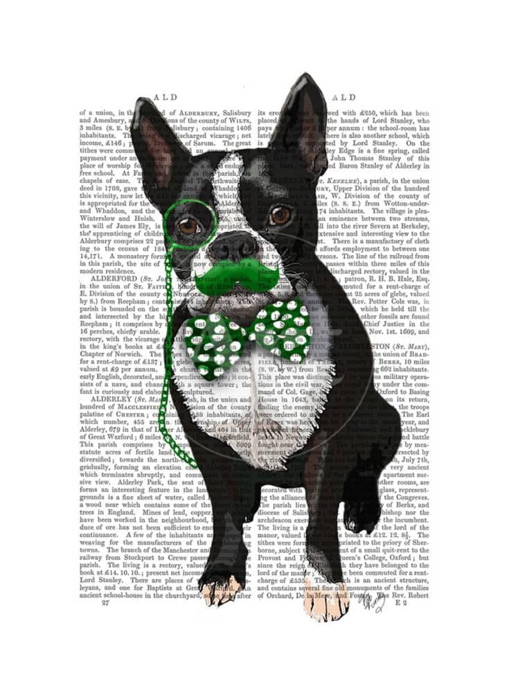 Boston Terrier with Green Moustache and Spotty Green Bow Tie, Animals ...
