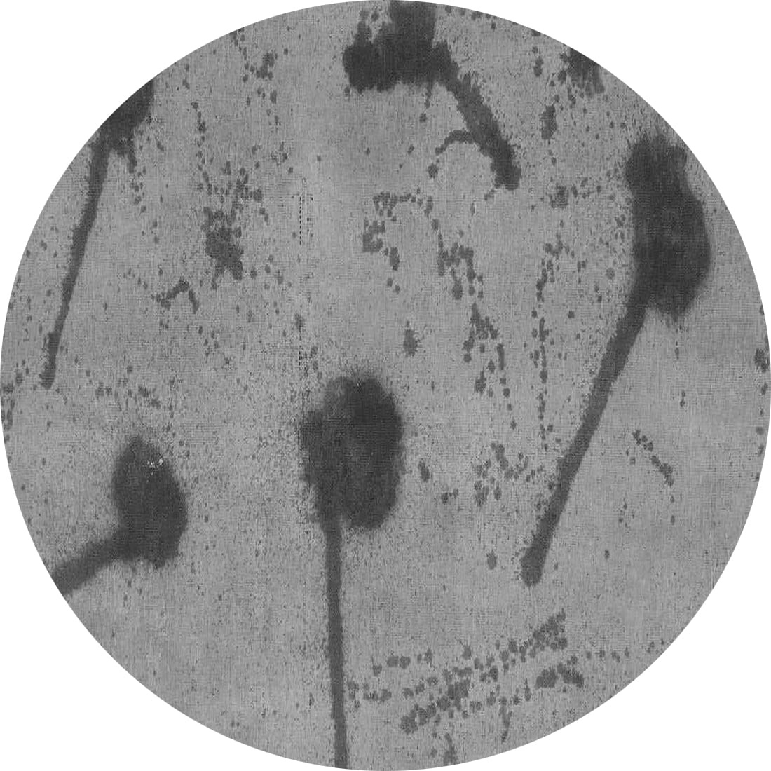 Ahgly Company Indoor Round Abstract Gray Modern Area Rugs, 5' Round ...