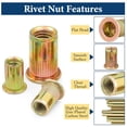 SAE Rivet Nut Assortment Kit(240Pcs), #6-32#8-32#10-24 1/4"-20 5/16"-18 ...