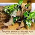 2PCS Natural Reptile Climbing Branches Decor,1.8-2.25" Thick Natural ...