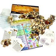 National Geographic Kids Science Kit - Ultimate Rock, Mineral, and ...