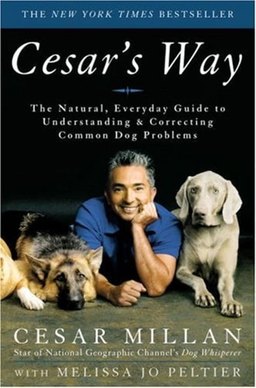 Pre-Owned Cesar's Way : The Natural, Everyday Guide to Understanding and Correcting Common Dog ...
