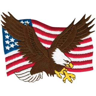Cold War Eagle Patch - Walmart.com