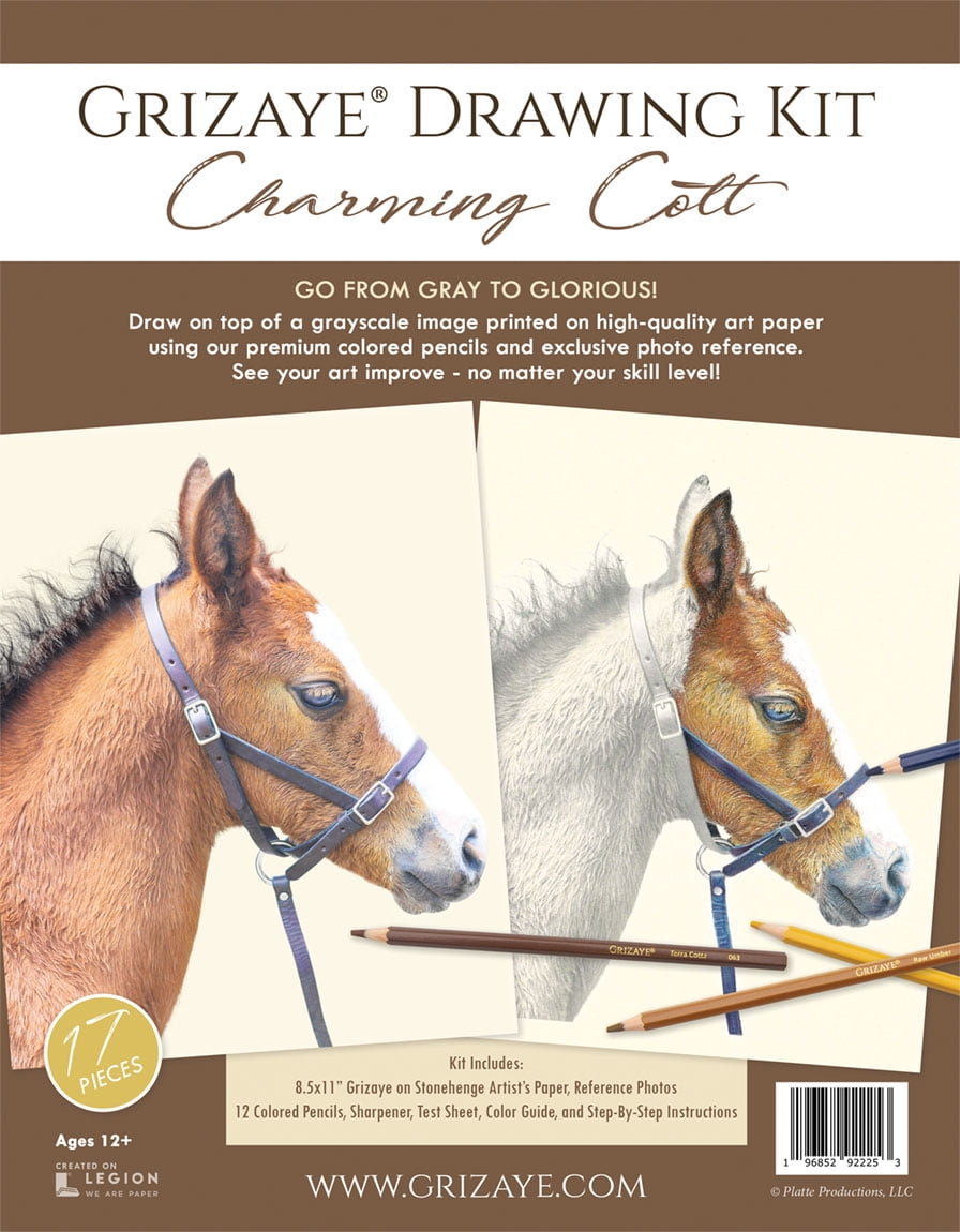 Grizaye Drawing Kit: Charming Colt - Walmart.com