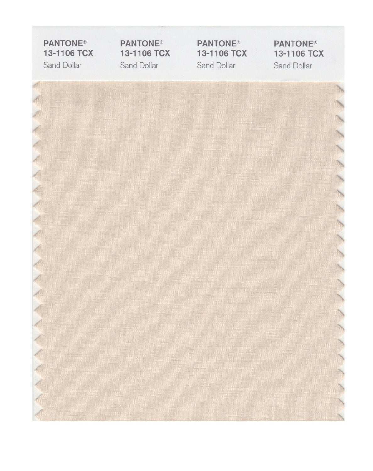 Sand Pantone