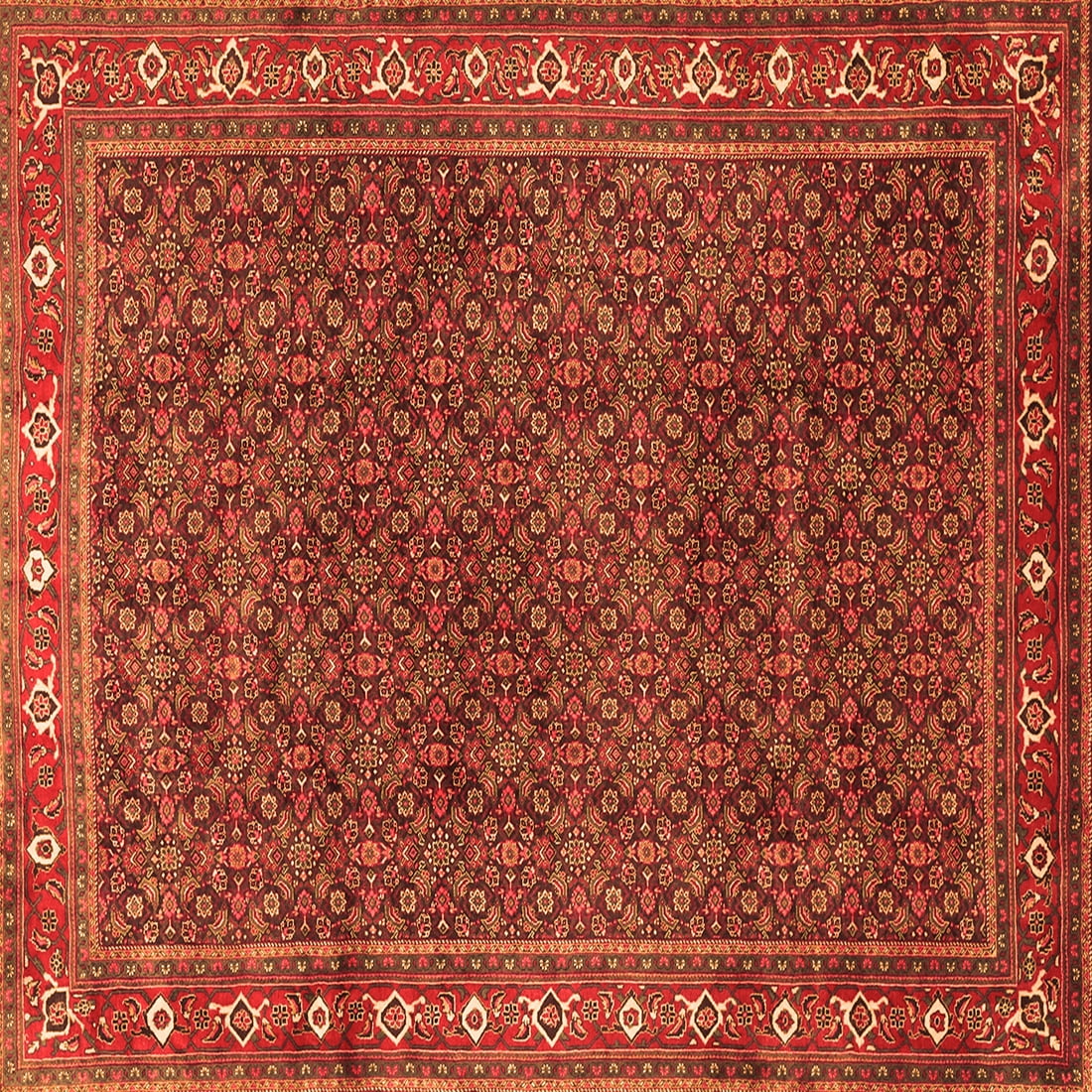 Ahgly Company Indoor Square Persian Orange Traditional Area Rugs, 6 ...