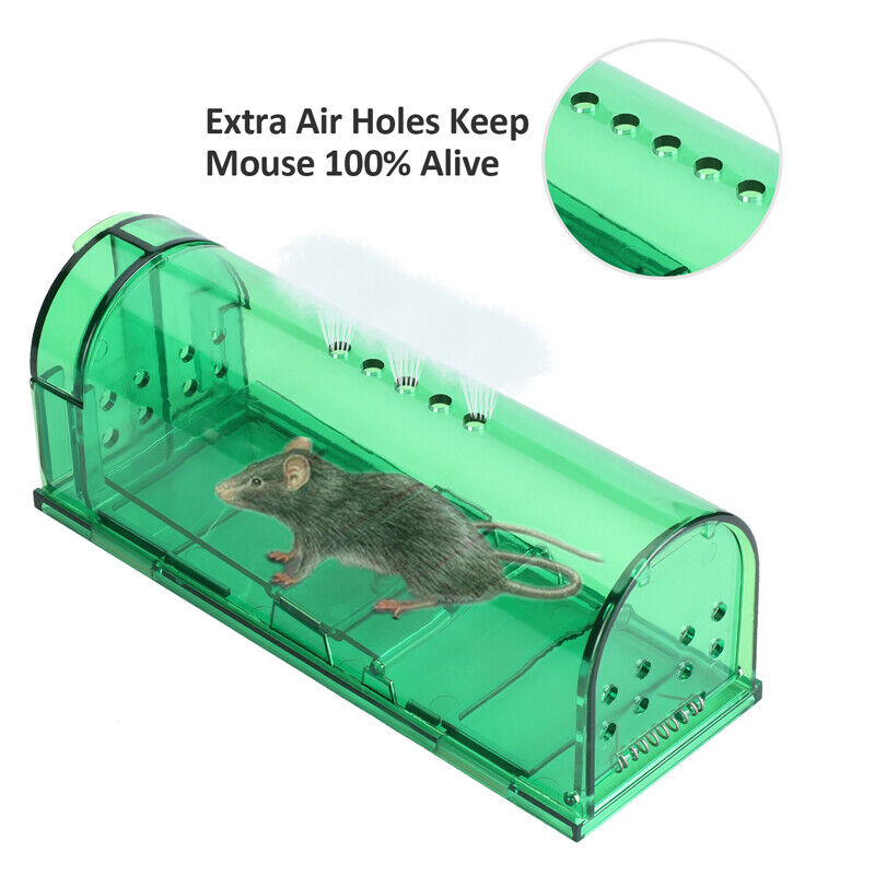 Live Mouse Traps Walmart