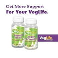 VegLife Vegan Iron 25 mg | Plus Vitamin C, Folic Acid, B-12 and ...