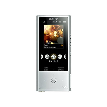 Sony Walkman ZX Series 128GB NW-ZX100: High Resolution Compatible ...