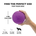 Chew King by Mammoth 4” Fetch Balls Dog Toy, Natural Rubber, X-Large, 2 ...
