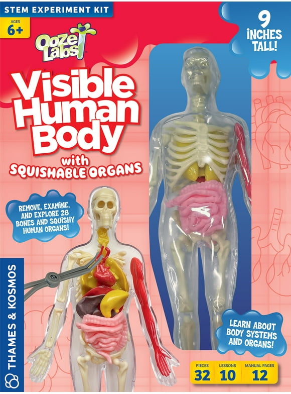 Anatomy Toys for Kids in STEM Toys - Walmart.com