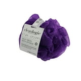 Cleanlogic Silky Soft Mesh Sponge 70g - Walmart.com