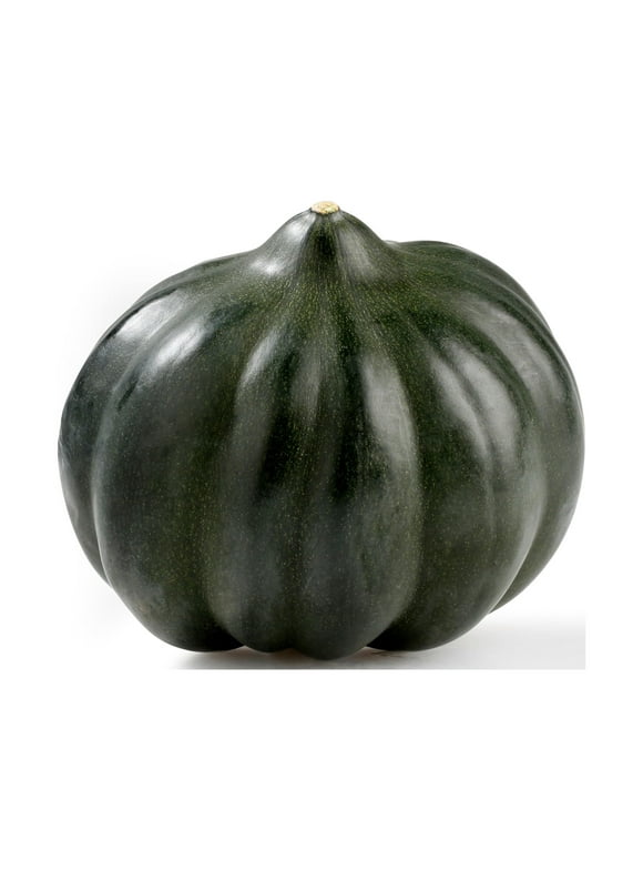 Squash & Eggplant in Fresh Vegetables - Walmart.com