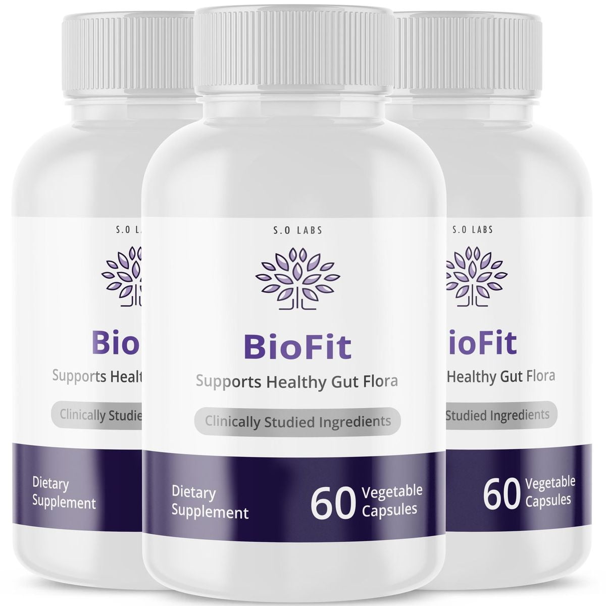 Biofit - Pills to Support Healthy Gut Flora - Energy Boosting Dietary ...