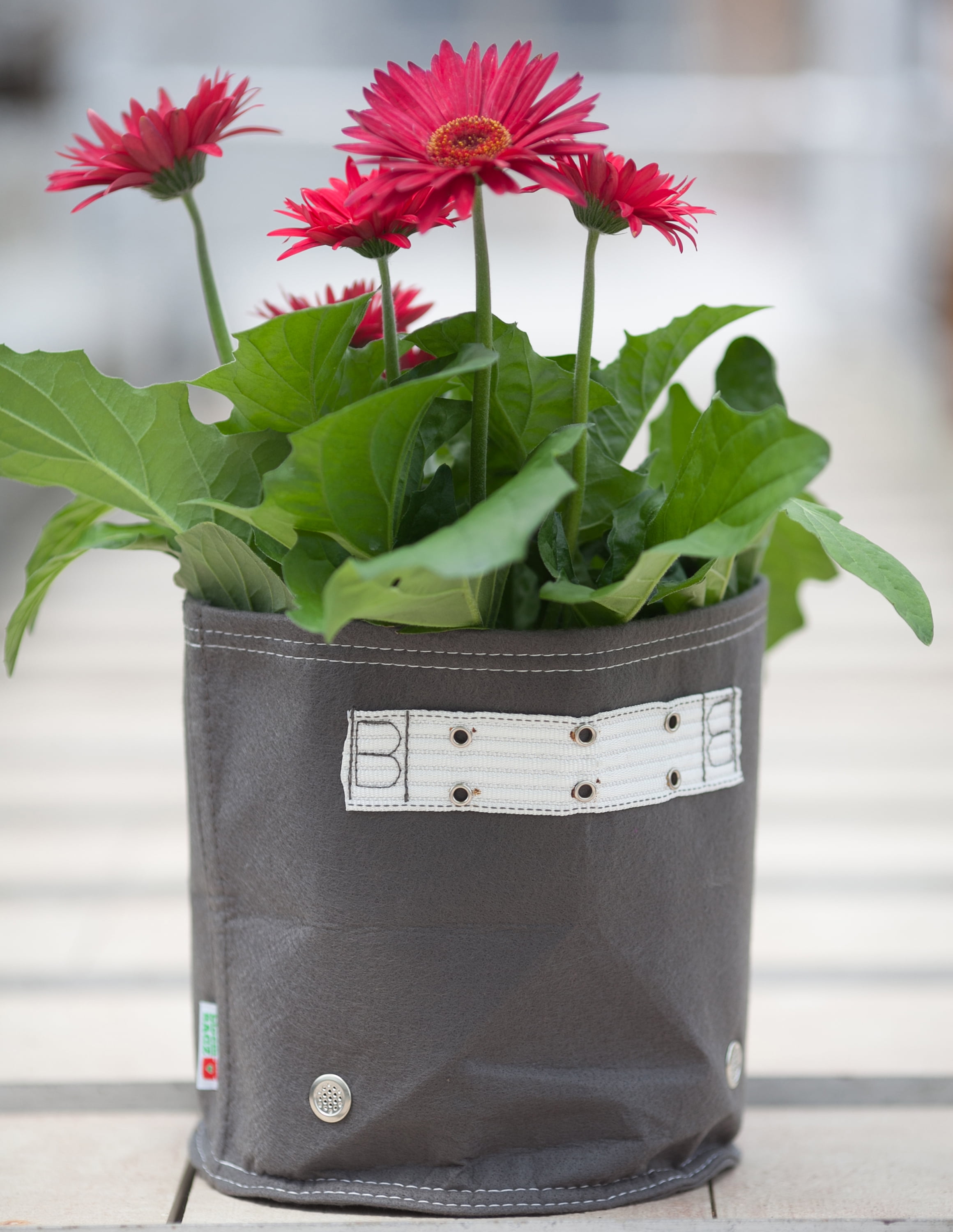 BloemBagz Classic Planter Grow Bag 5 Gallon Peppercorn - Walmart.com