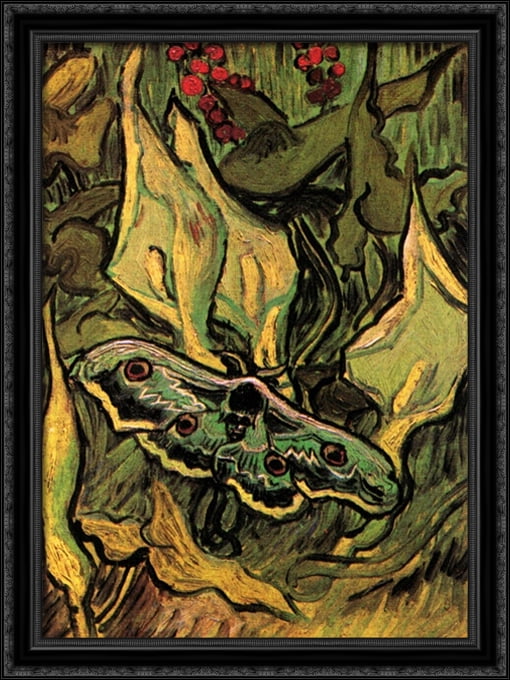 Great Peacock Moth 28x38 Large Black Ornate Wood Framed Canvas Art by ...