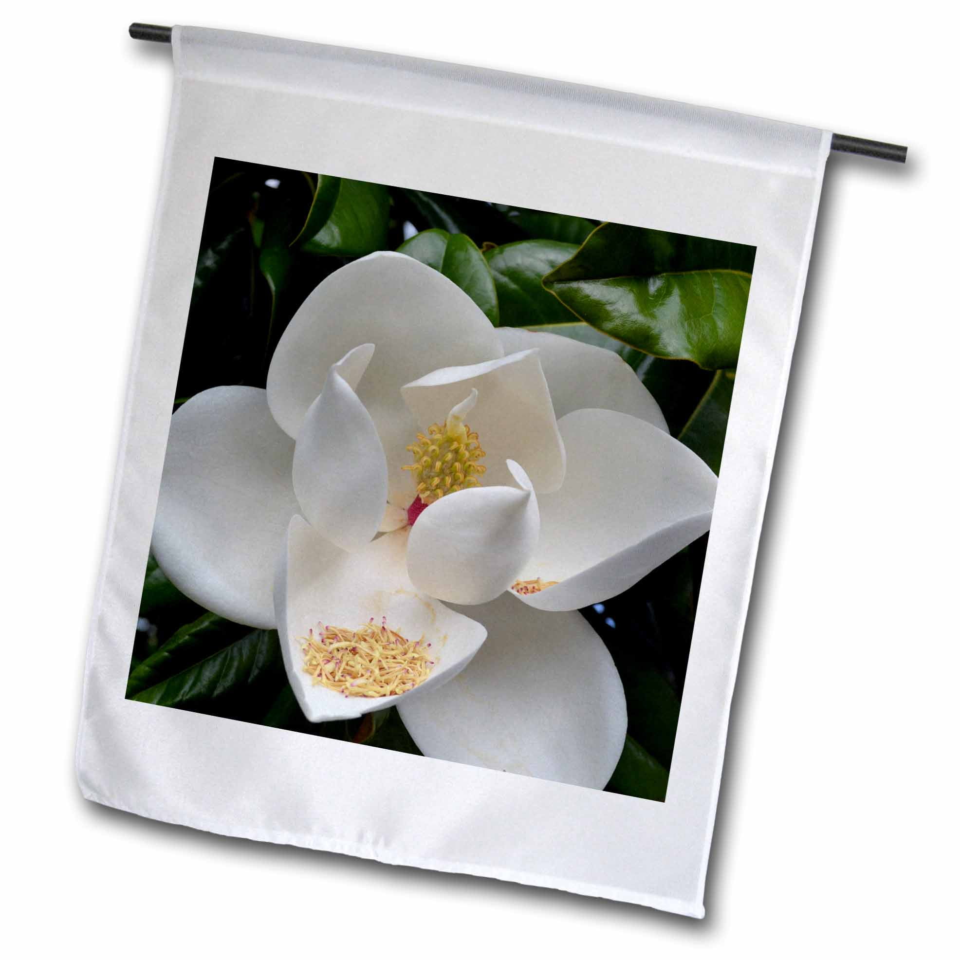 3dRose White Magnolia Floral - Garden Flag, 12 by 18-inch - Walmart.com