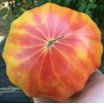 Tims Black Ruffles Heirloom Tomato Premium Seeds Packet - Walmart.com
