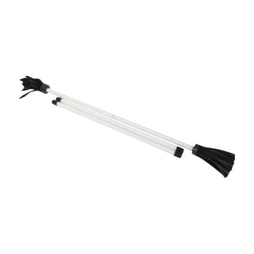 BestWin Everyday Bug Catcher for Indoor and Outdoor, Harmless Spider ...