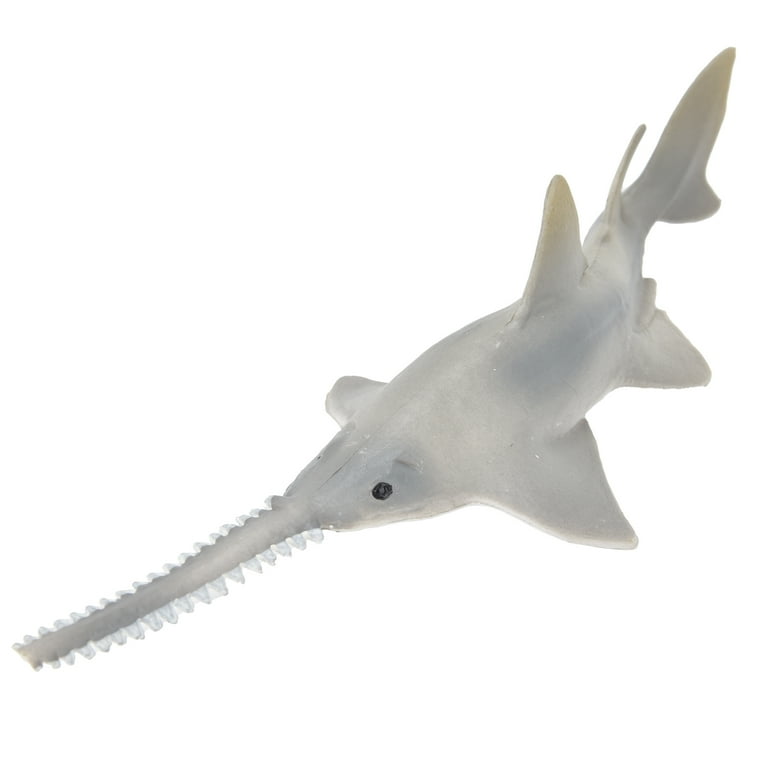 Baby Sawfish