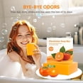 SZBAOAN Persimmon Soap Bar With Exfoliating Mesh Net,Natural Body Wash ...