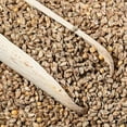 Premium Japanese Millet Seed 50 lbs - Fast-Growing, Ideal for Food ...