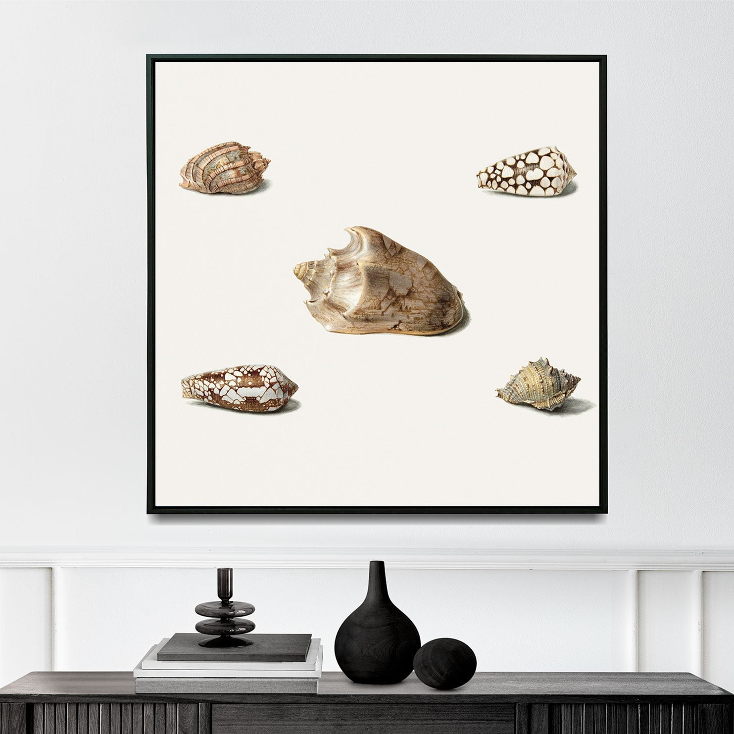 Five Shells - 1782–1861 | Georgius Jacobus Johannes Van Os | Premium ...