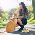 Precious Tails Paws & Bones Pet Wipes, Hypoallergenic Dog Grooming ...