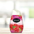 Renuzit Adjustable Gel Air Freshener, Forever Raspberry Scent, 7oz, 3 ...
