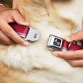 Buckle-Down Pet Collar, Dog Collar Metal Seatbelt Buckle, Spectrum Pink ...