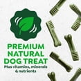 Greenies Natural Dental Puppy Treats Regular Size, 12 oz Pack (12 Count ...