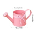 zhonghuaying 1 Pack Decorative Metal Watering Can, Small Garden ...