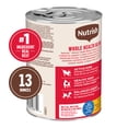 Rachael Ray Nutrish Real Beef & Pumpkin Paté Wet Dog Food, 13 oz ...