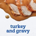 Gerber Stage 2 Baby Food, Turkey and Gravy Jar, Baby Food Poultry Puree ...