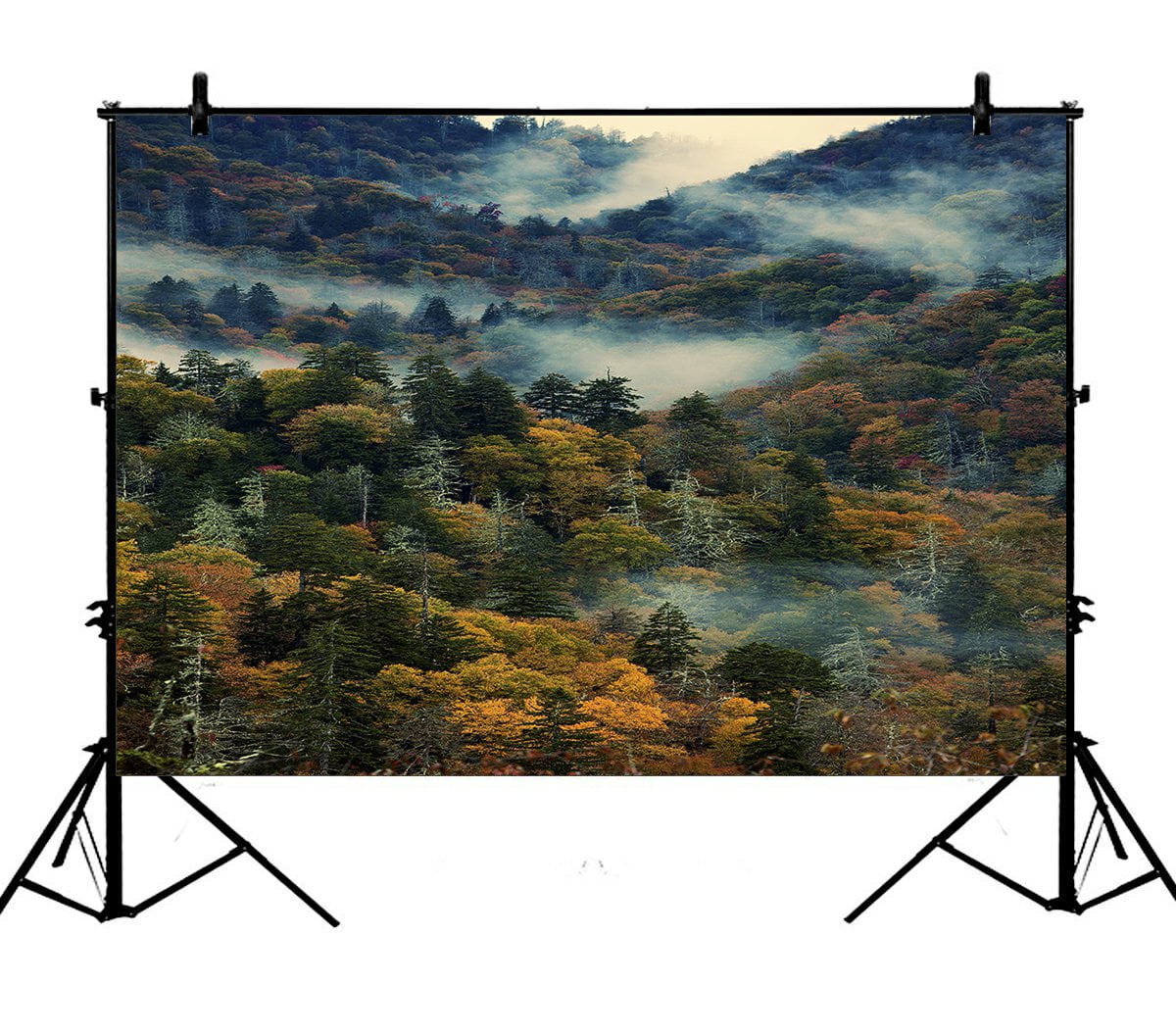 PHFZK 7x5ft Landscape Nature Scenery Backdrops, Morning in Fog ...