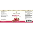 Florida Herbal Urolithin A (120) | Dietary capsules - Walmart Business ...