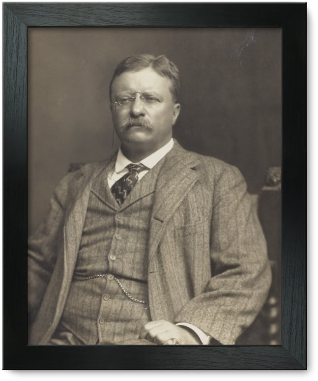 Framed Print: Theodore Roosevelt, Half-Length Portrait, Seated, Facing ...