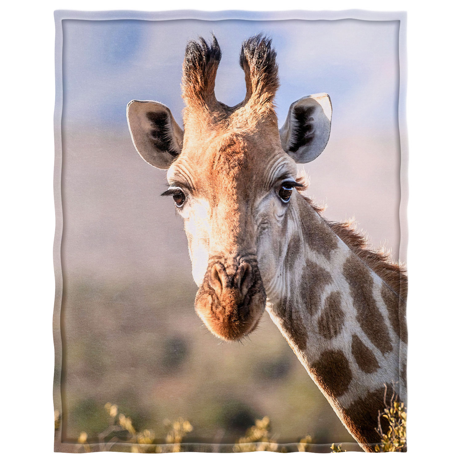 YISUEMI 50x60 inches Blanket Throw Comfort Warmth Soft Plush Throw for ...