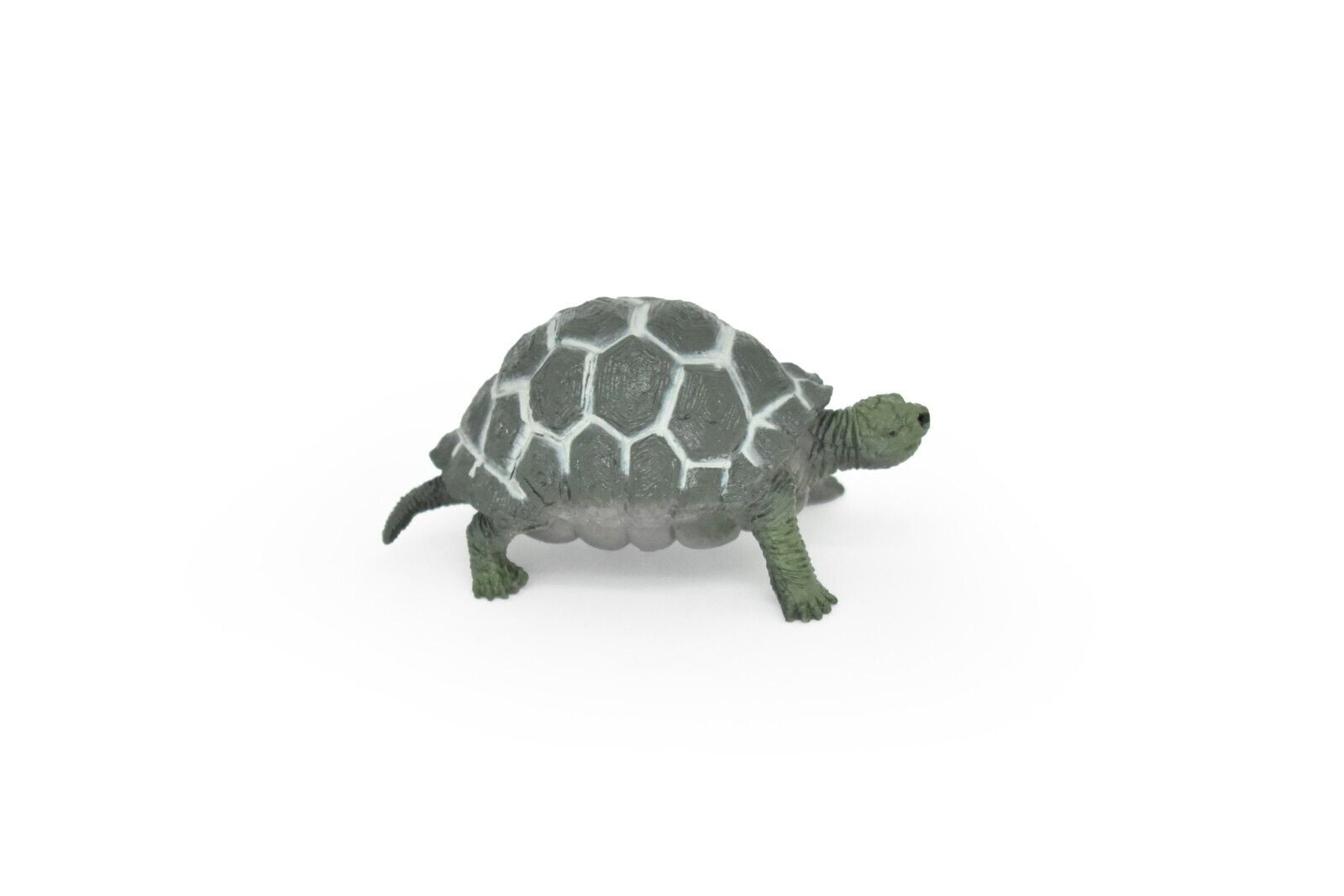 Tortoise, Reptile Toy, Realistic Rubber Model Hand Painted Figure 2.5 ...