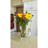 Posy Pop® Formulated Water for Fresh Cut Flowers - Walmart.com