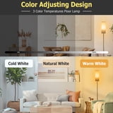 Coliware Floor Lamp, Gold Modern Standing Lamp with Foot Switch Line ...