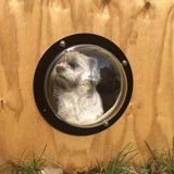 Miumaeov 9.5inch Pet Clear Bubble Window For Dogs Cat Acrylic Dome Fence Transparent - Walmart.com