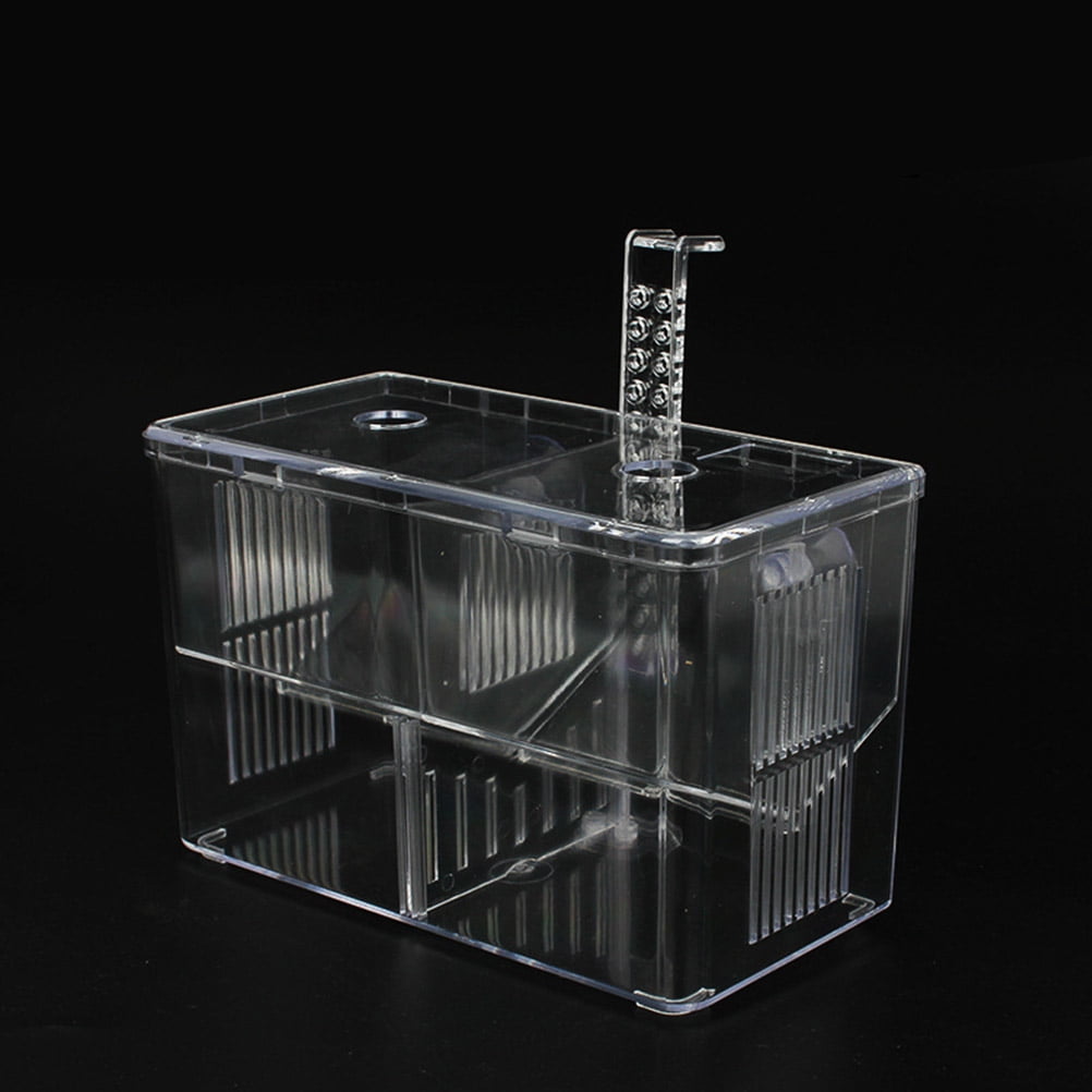 Buy Fish Breeder Net Breeding Acclimationtank Box Box Aquarium Guppy ...
