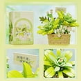 MACTANO Flower Micro Mini Building Block Set Lily Flower Bonsai Kit ...