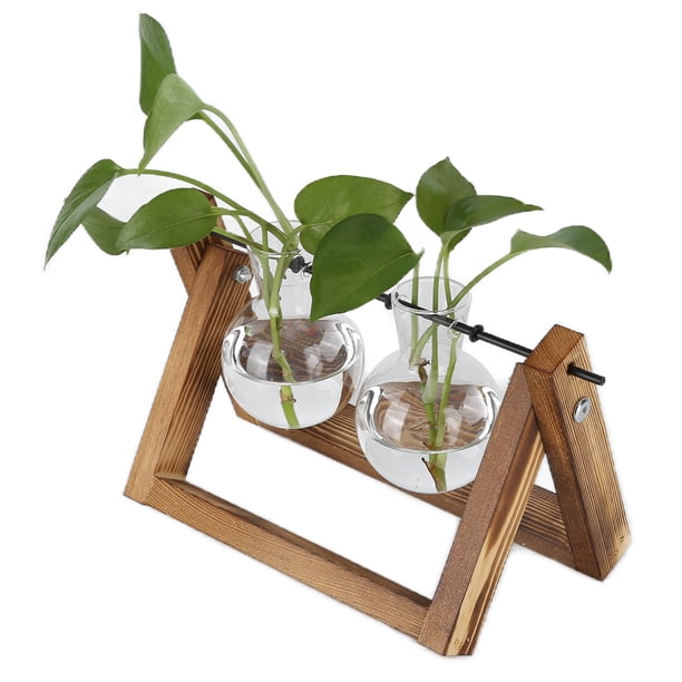 Desktop Glass Planter, Desktop Glass Vase Planter Natural Retro Unique ...