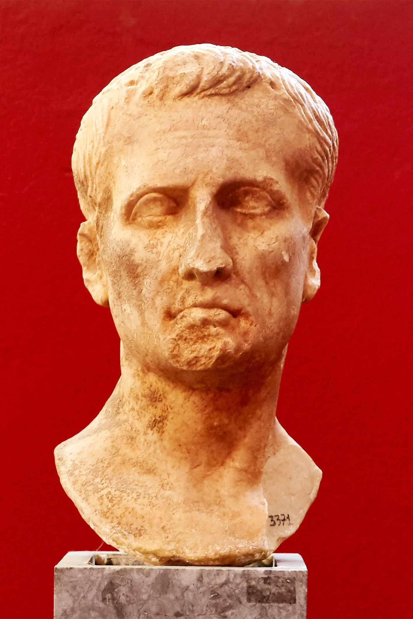 24x36 gallery poster, Portrait of Julius Caesar at the Archaeological ...