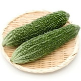 Gourd Seeds - Futo - Spindle - 1 Oz ~113 Seeds - Non-GMO, Heirloom ...