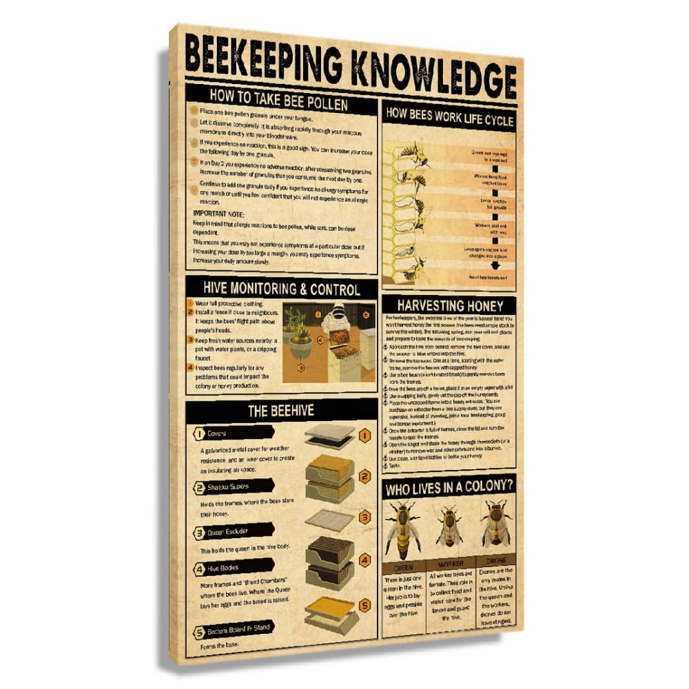 Beekeeping Wall Art Knowledge Poster Educational Wall Art Infographic ...